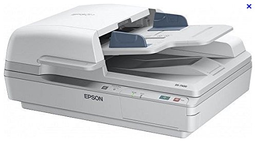 Epson Workforce DS-6500 Scanner a Plat ...